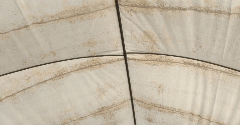 How To Clean A Tent With Mold - The Ultimate Guide