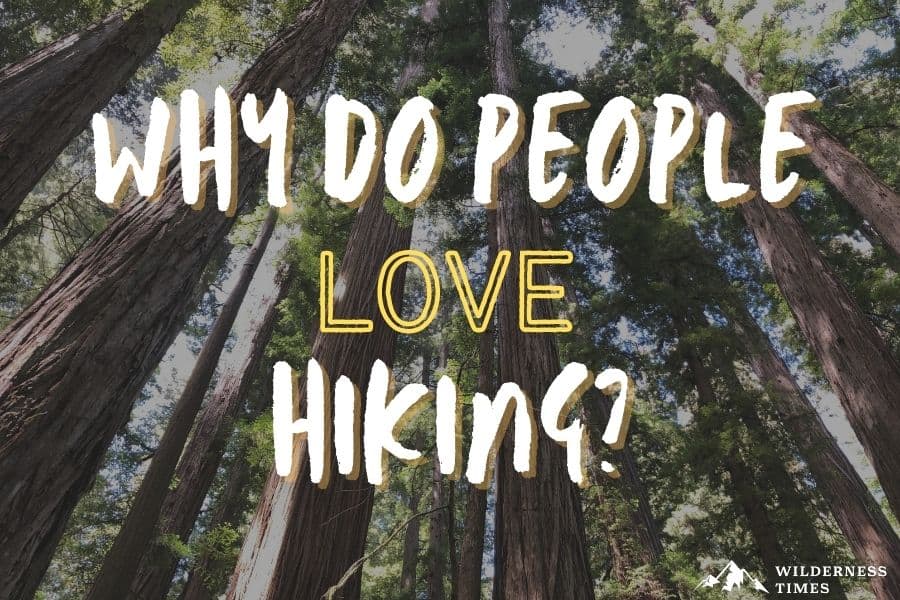 Why Do People Like Hiking? (10 Reasons People Love Hiking)