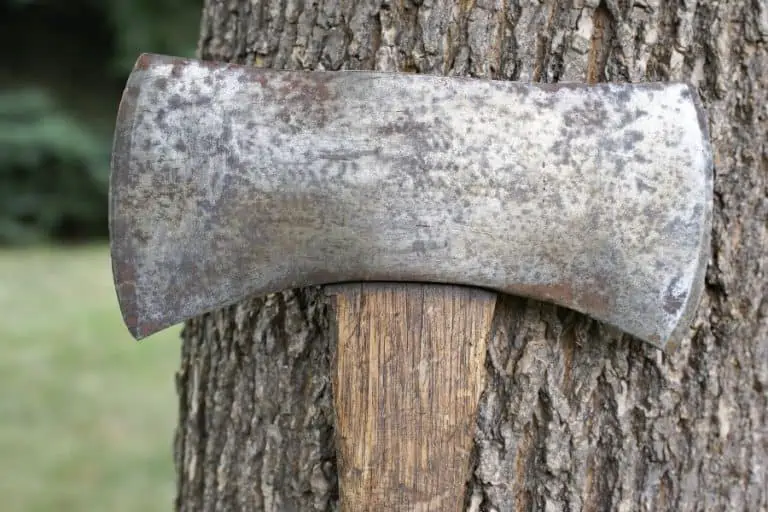 The 9 Best Hatchets for Camping in 2025 (BUYERS GUIDE)