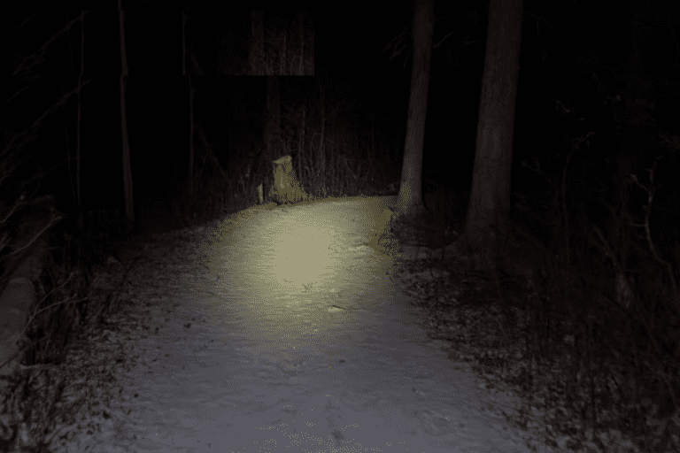 Hiking at Night (How to Hike Safely in the Dark)