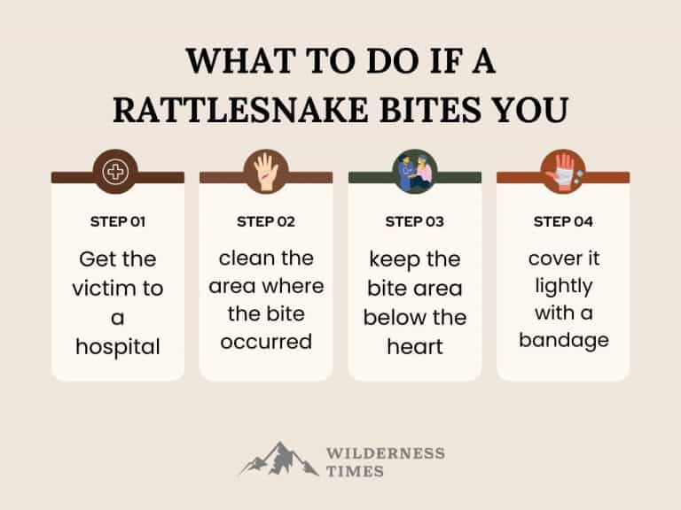 What to do when you see a Rattlesnake while hiking!