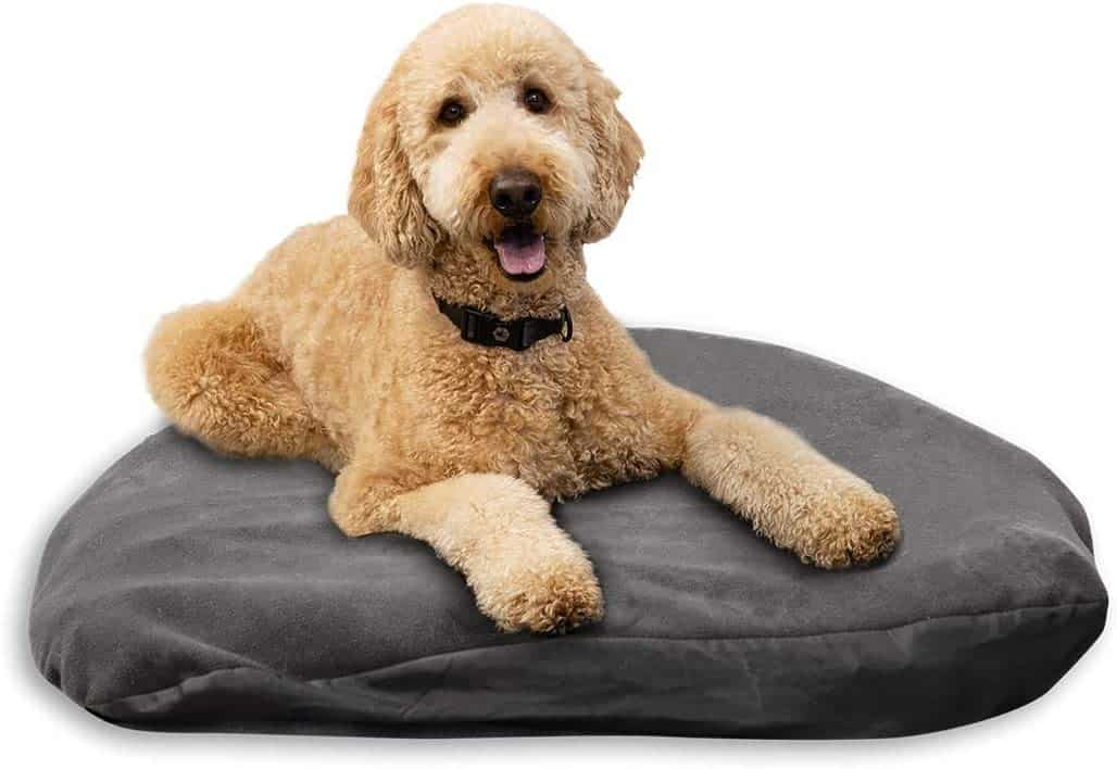 11 Best Dog Beds for Camping & Backpacking Dog Beds 2026