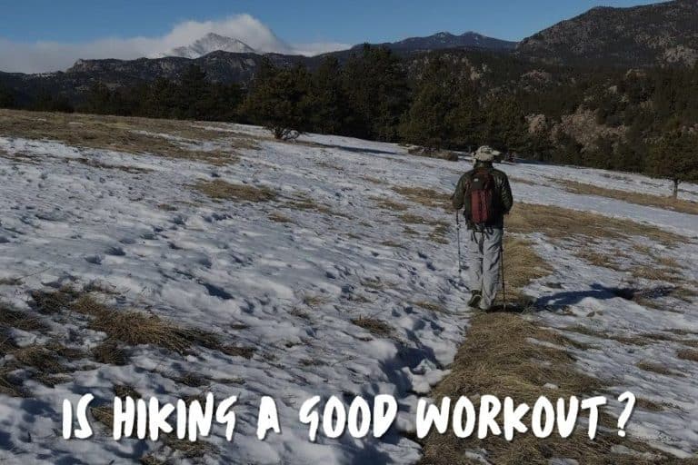 How Many Calories Does Hiking Burn? (7 Factors That Come Into Play)