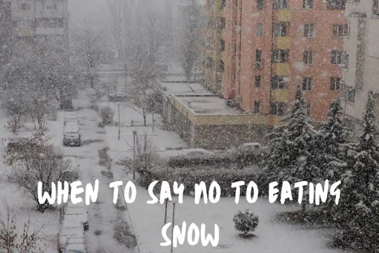 Is It Safe to Eat Snow?
