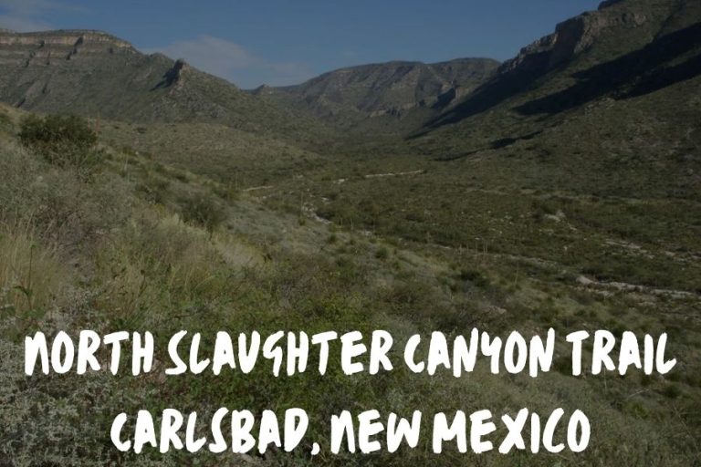 Hidden Gems: 10 Secret Hiking Trails They Don’t Want You To Know About