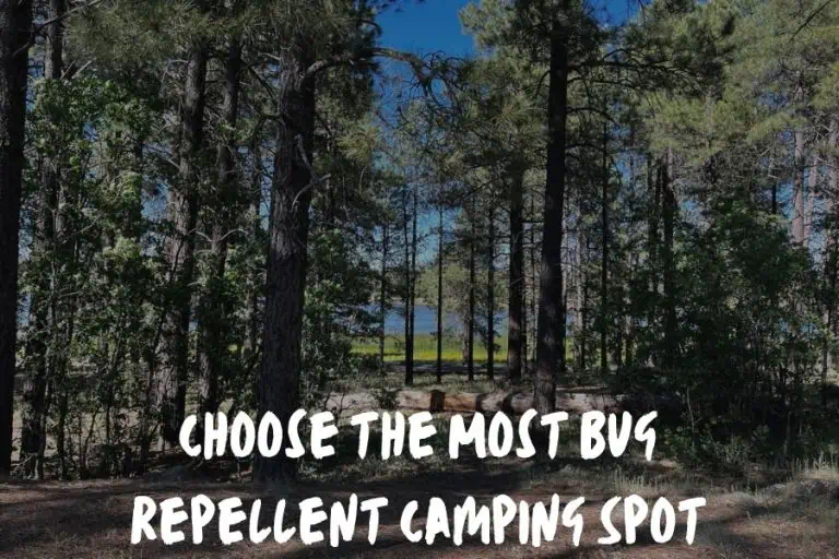 The Trick to Keeping Bugs Out of Your Tent (Without Chemicals)